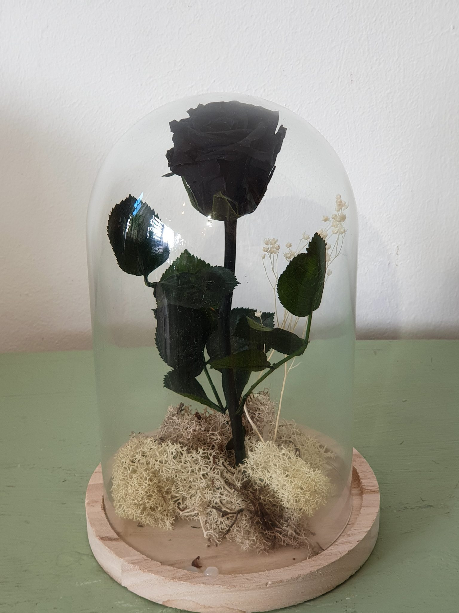 Rosa eterna negra- Deep love - Happyflora flores a domicilio